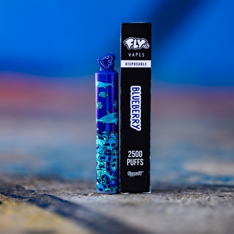 VAPER FLY 2500 PUFF T258