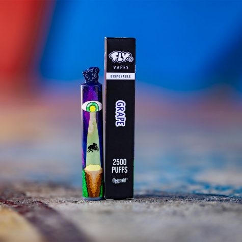 VAPER FLY 2500 PUFF T258