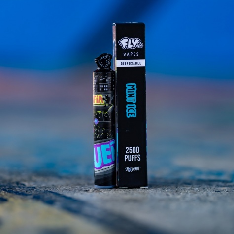 VAPER FLY 2500 PUFF T258