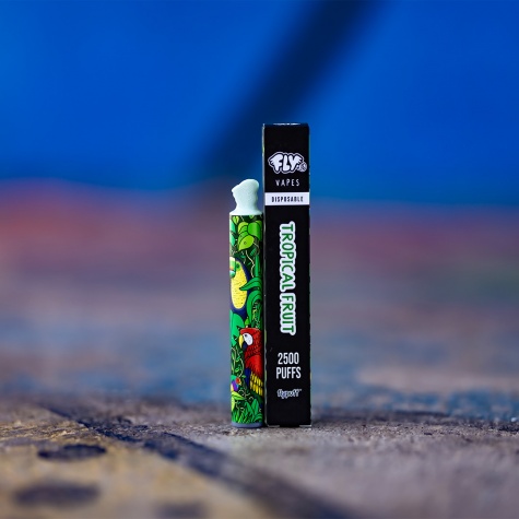 VAPER FLY 2500 PUFF T258